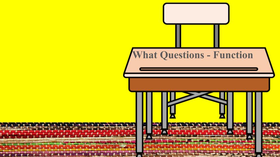 Animated Video: ABLLS-R H11 What Questions for “FUNCTION” (Of feature ...