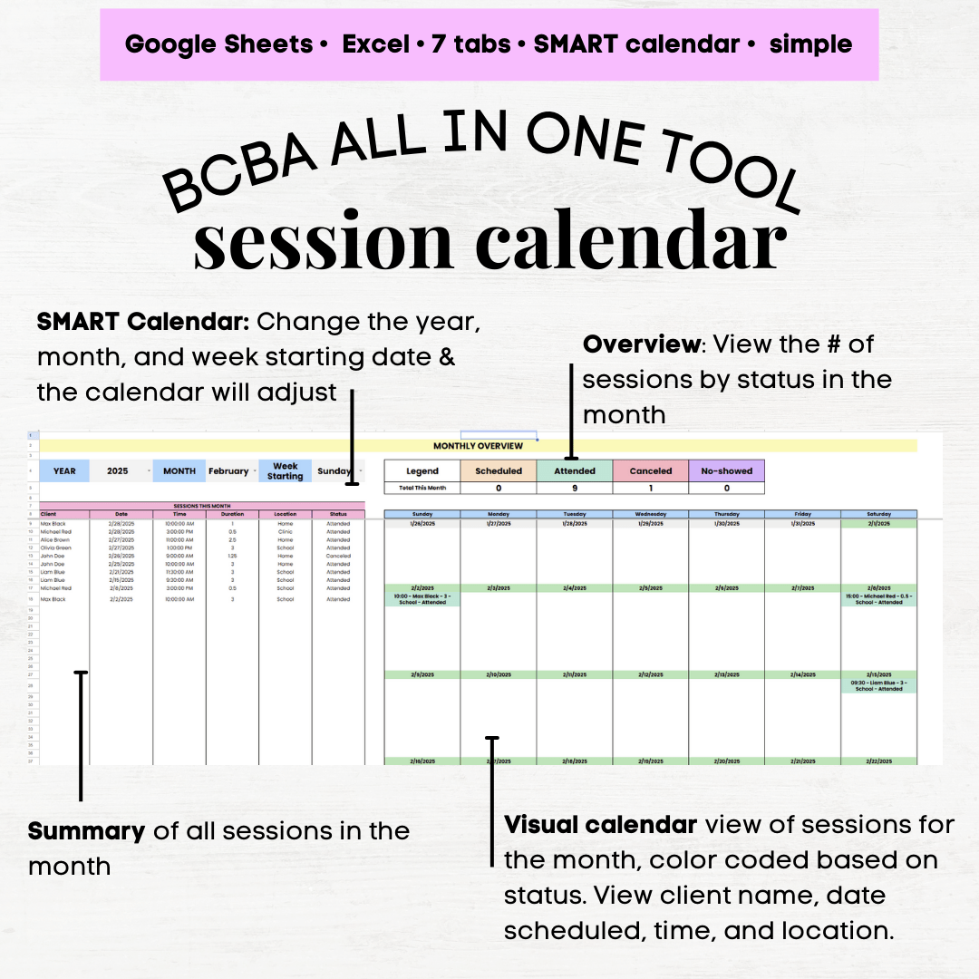 BCBA All in One Spreadsheet – Track authorization, sessions, clients ...