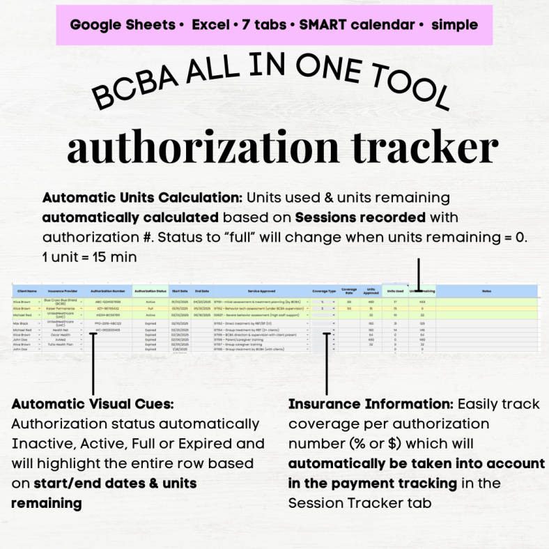 BCBA All in One Spreadsheet – Track authorization, sessions, clients ...