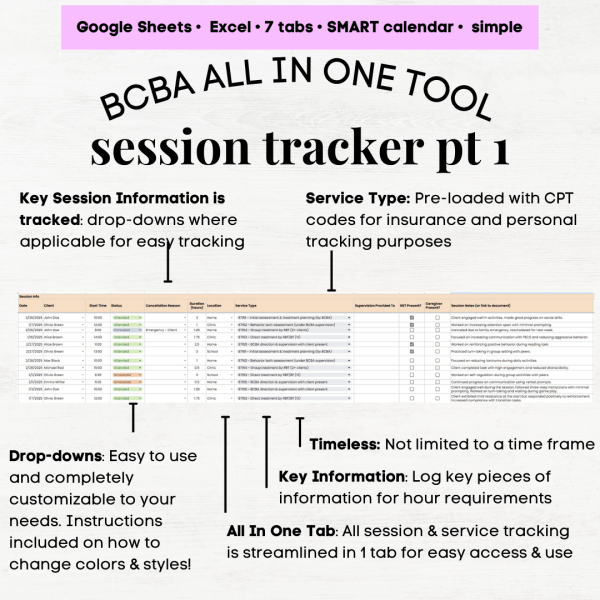 BCBA All in One Spreadsheet – Track authorization, sessions, clients ...