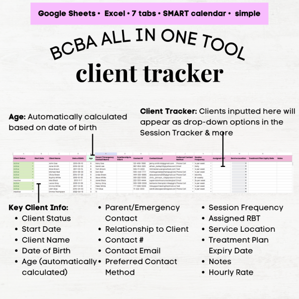 BCBA All in One Spreadsheet – Track authorization, sessions, clients ...