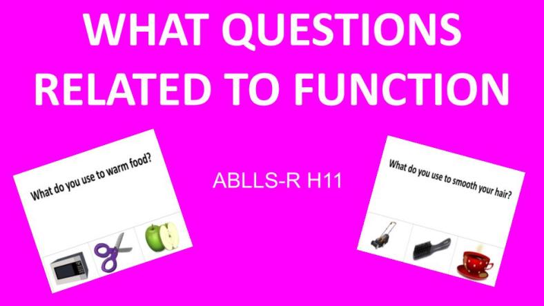 What Questions Related to Function (ABLLS-R H11) (10 Questions ...