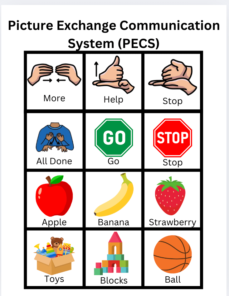 100+ Customizable PEC Icons + Blank Pages for Personalized ...