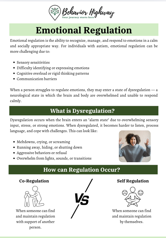 Emotional Regulation for Young Adults:A Practical Self-Regulation Guide ...