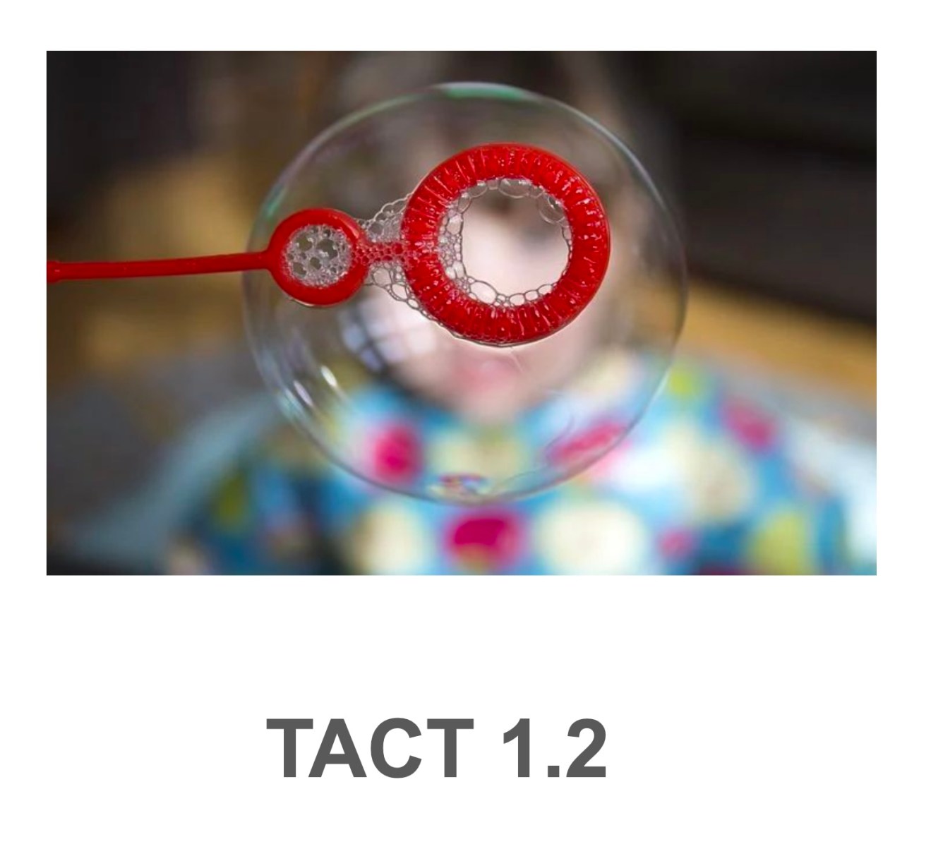 Electronic VB-MAPP Tacting/Labeling 1.2-2.7 – Behavior Analyst Resource ...